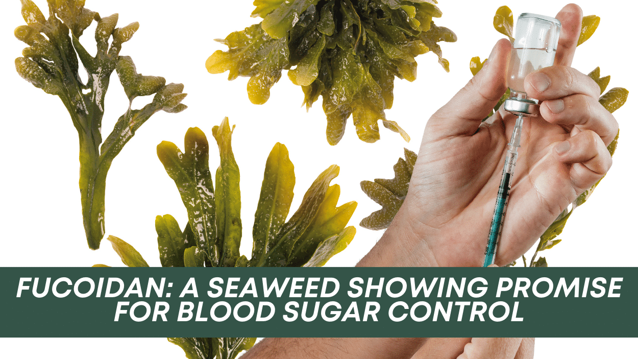Fucoidan: A Seaweed Showing Promise for Blood Sugar Control – The ...