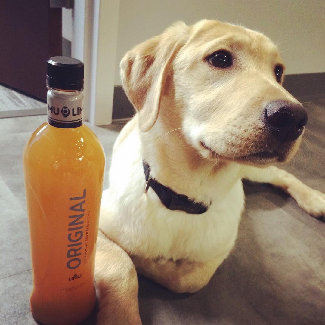 LIMU Original – Fucoidan Supernutrient Seaweed Blend with Tropical ...